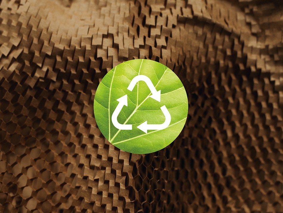 Commitment to Green Beauty: Achieving Sustainable Goals | Garnier